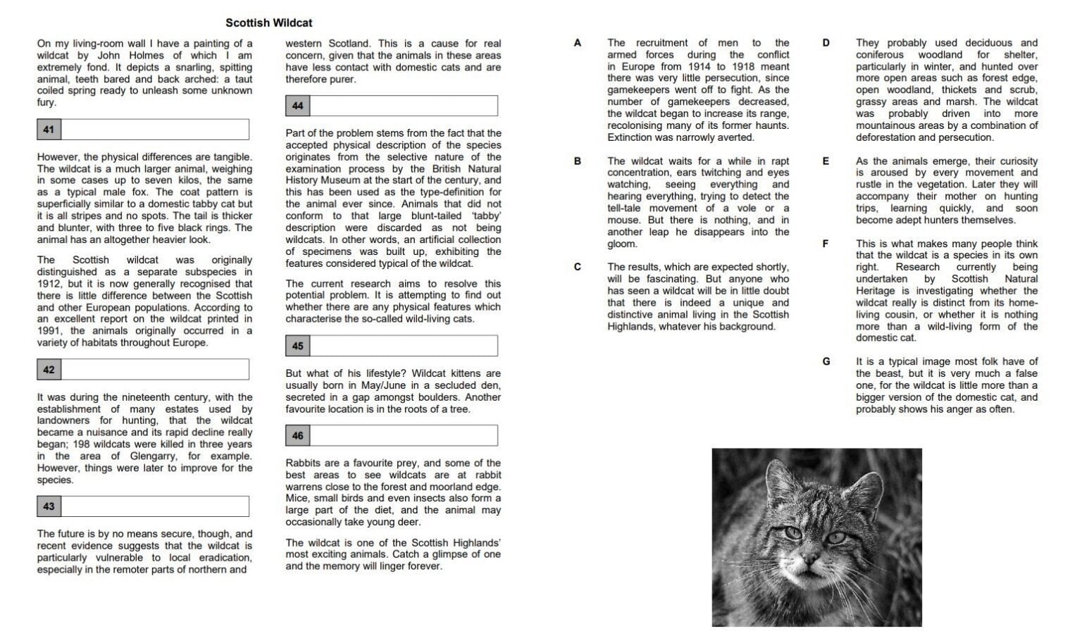 How to ace CAE reading part 7 - Your free step-by-step guide