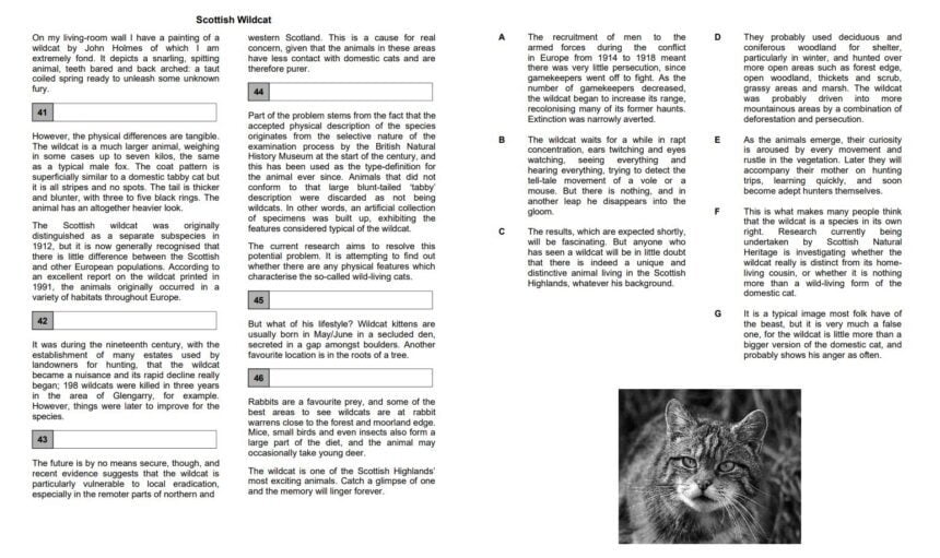 How to ace CAE reading part 7 - Your free step-by-step guide